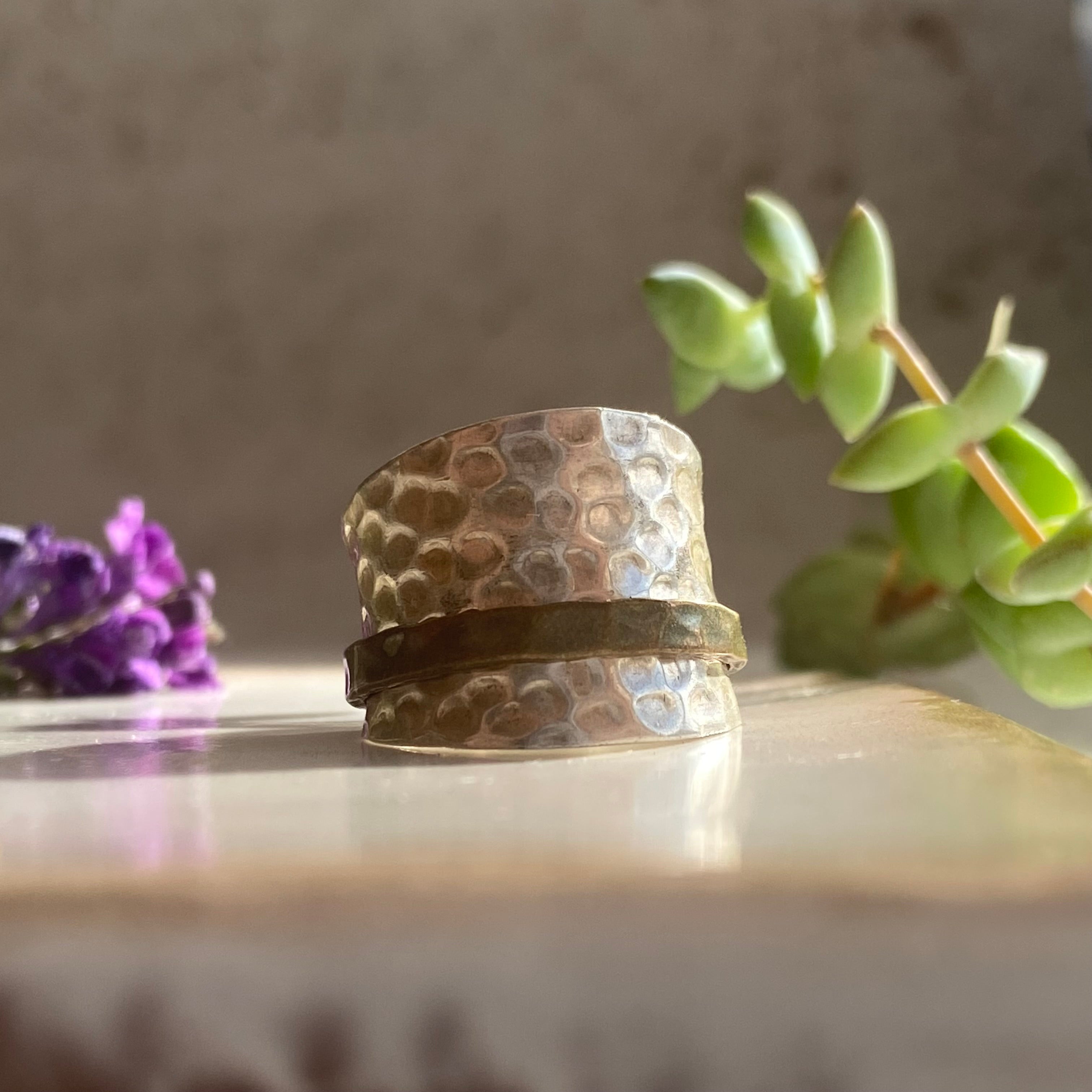 Silver Spinning Ring - N – ForageDesign