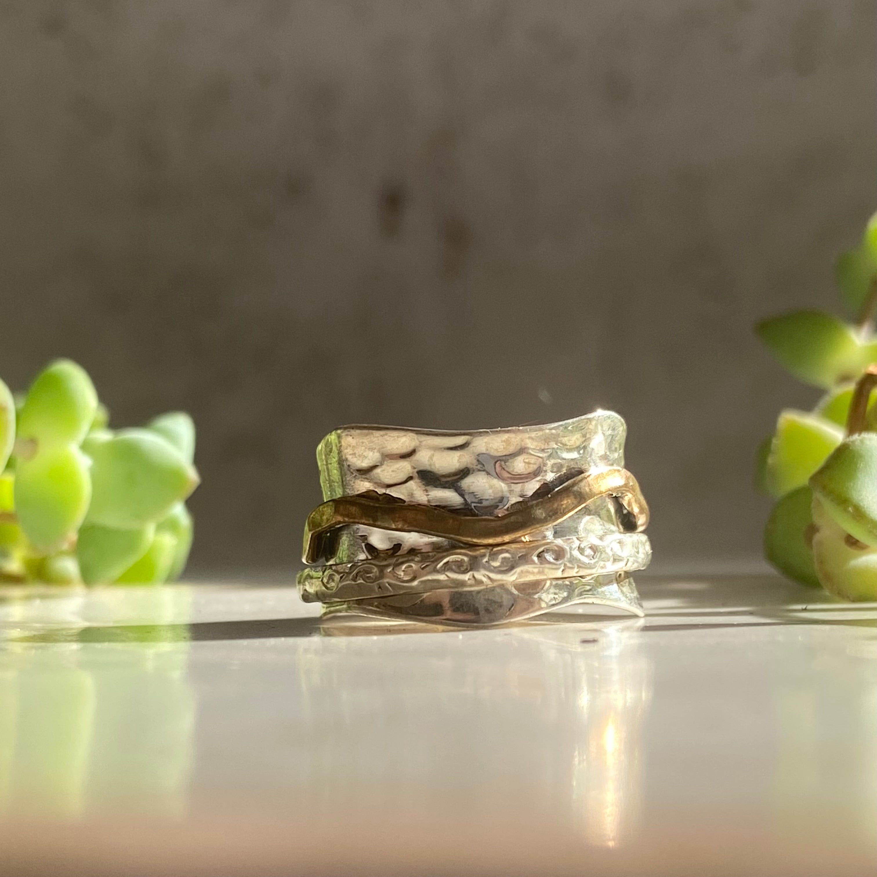 Silver Spinning Ring - N – ForageDesign