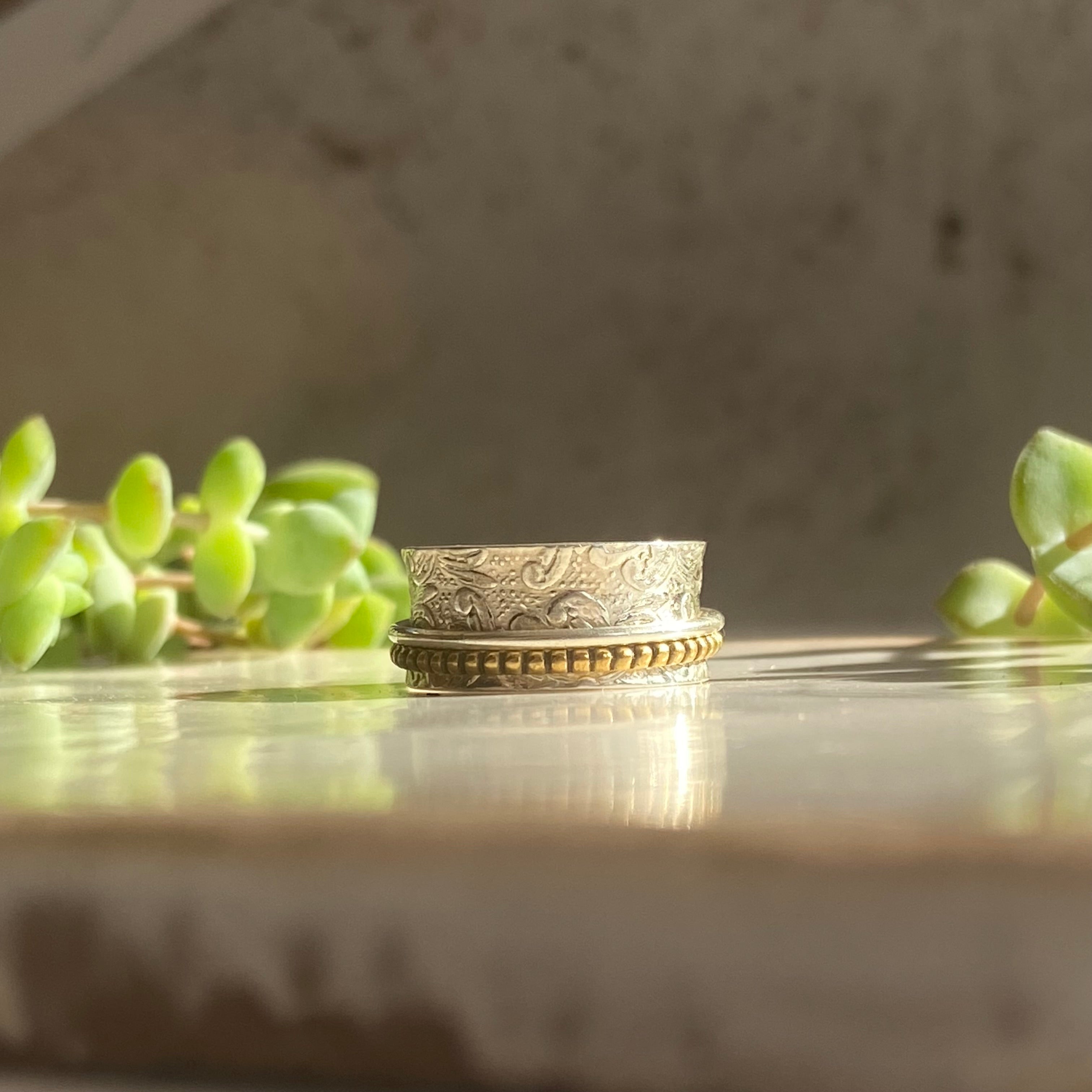 Silver Spinning Ring - N/O – ForageDesign