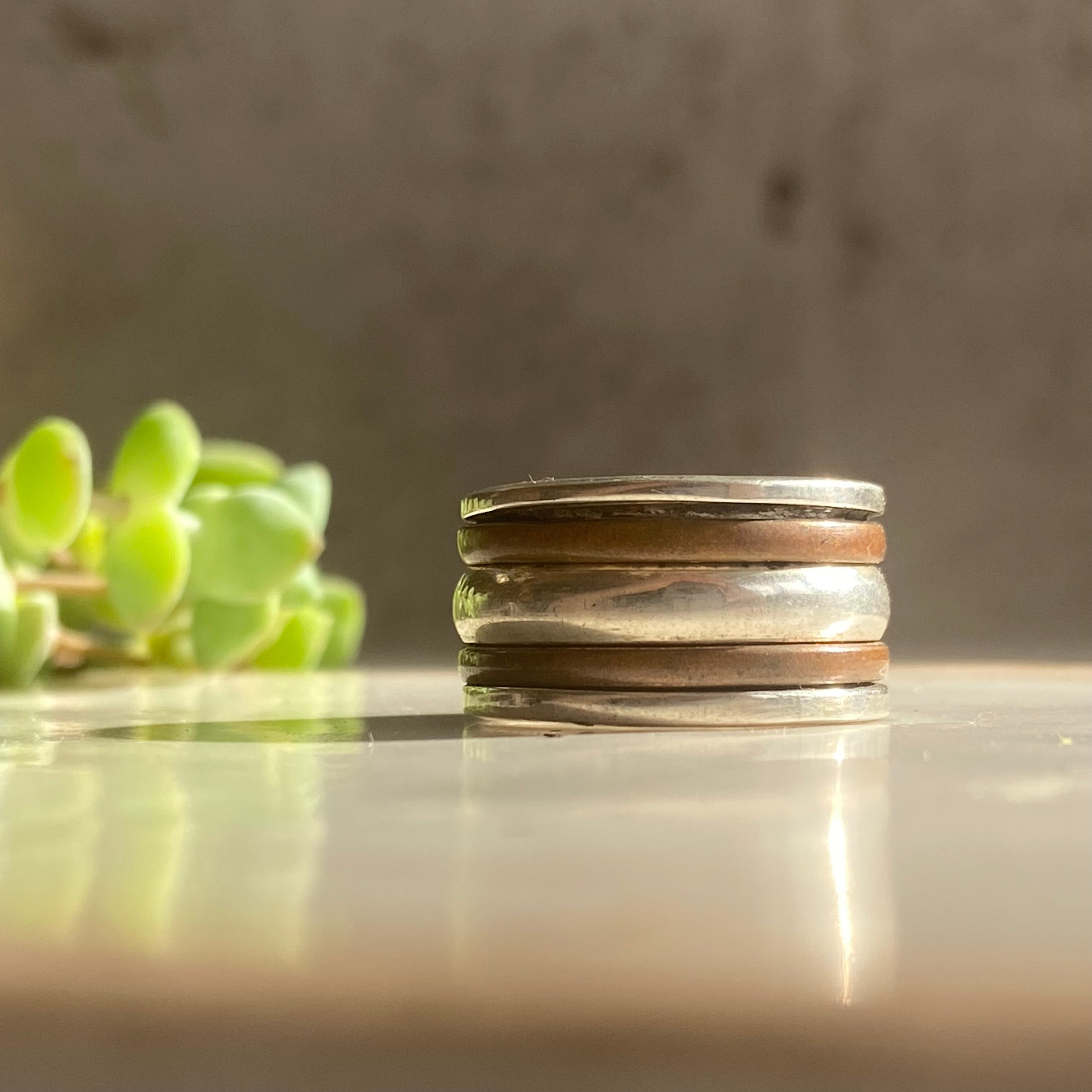 Silver Spinning Ring - N/O – ForageDesign