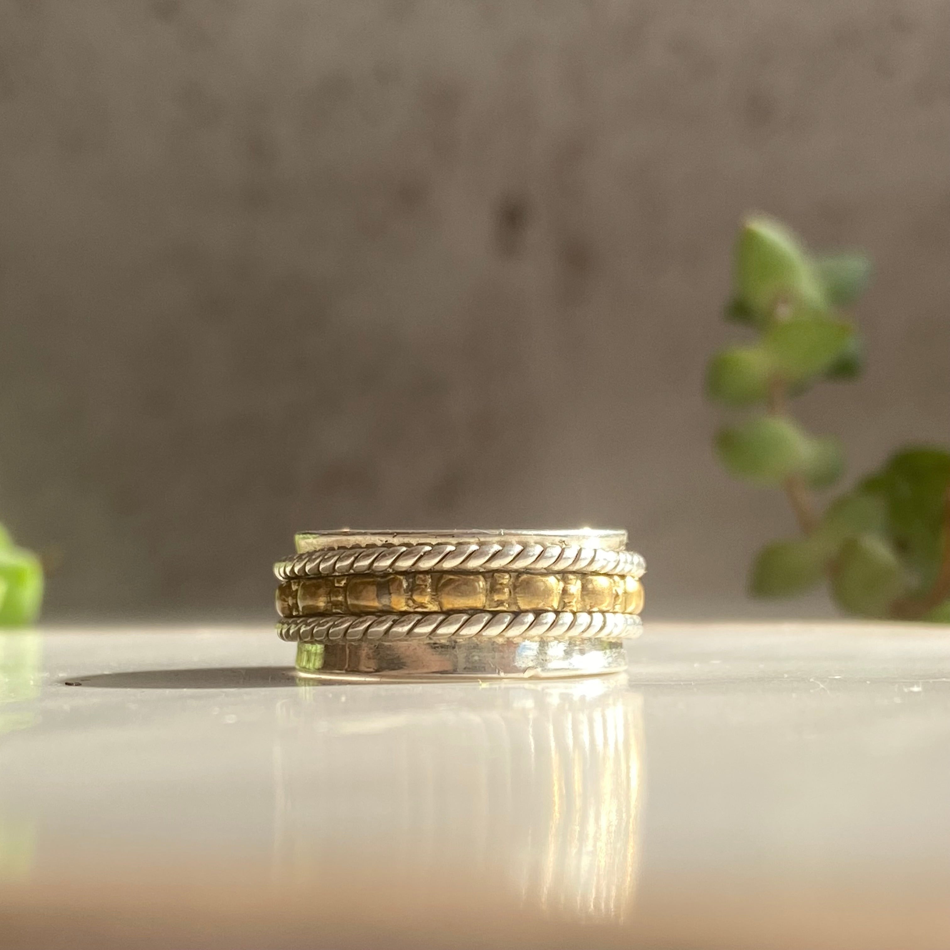 Silver Spinning Ring - L – ForageDesign