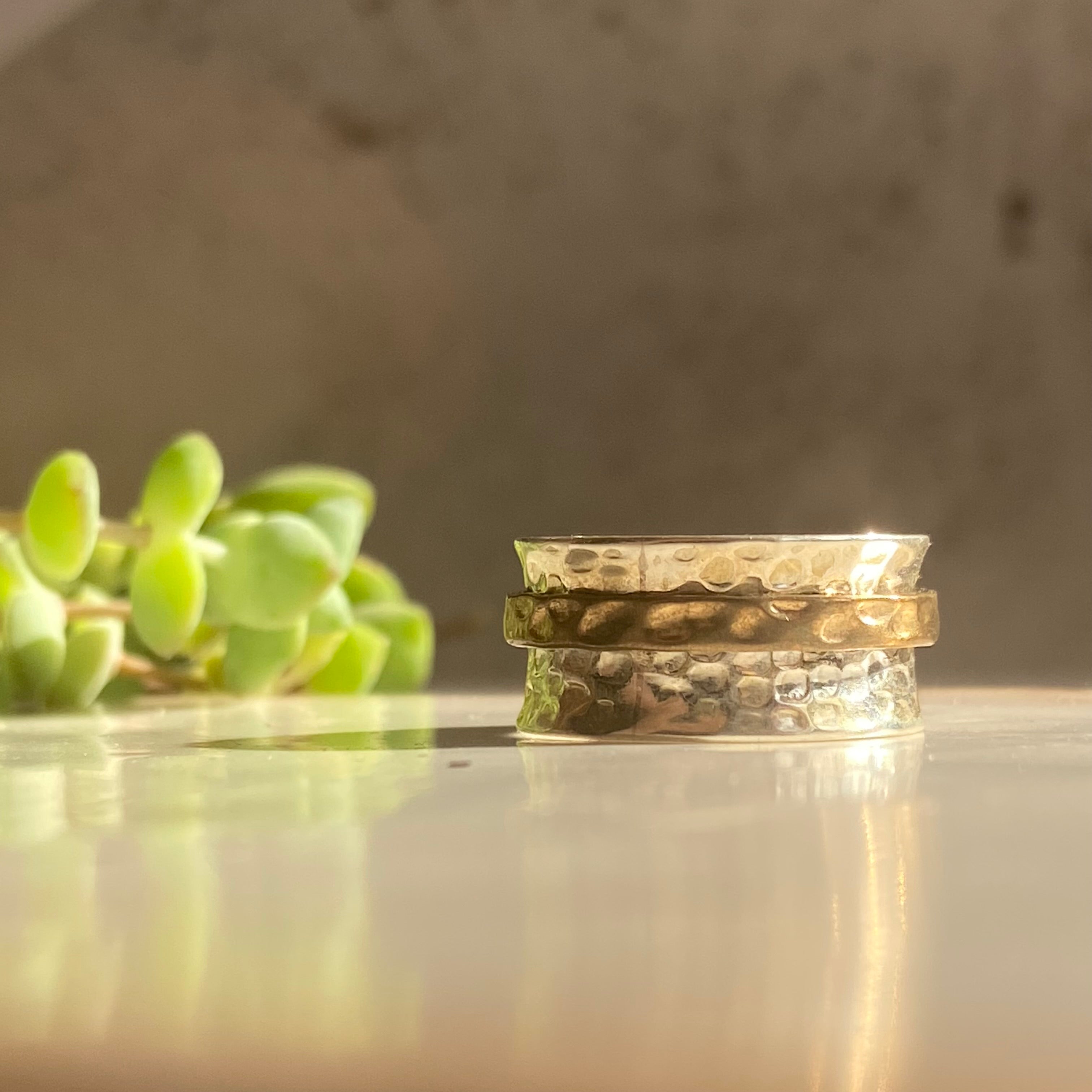 Silver Spinning Ring - P/Q – ForageDesign