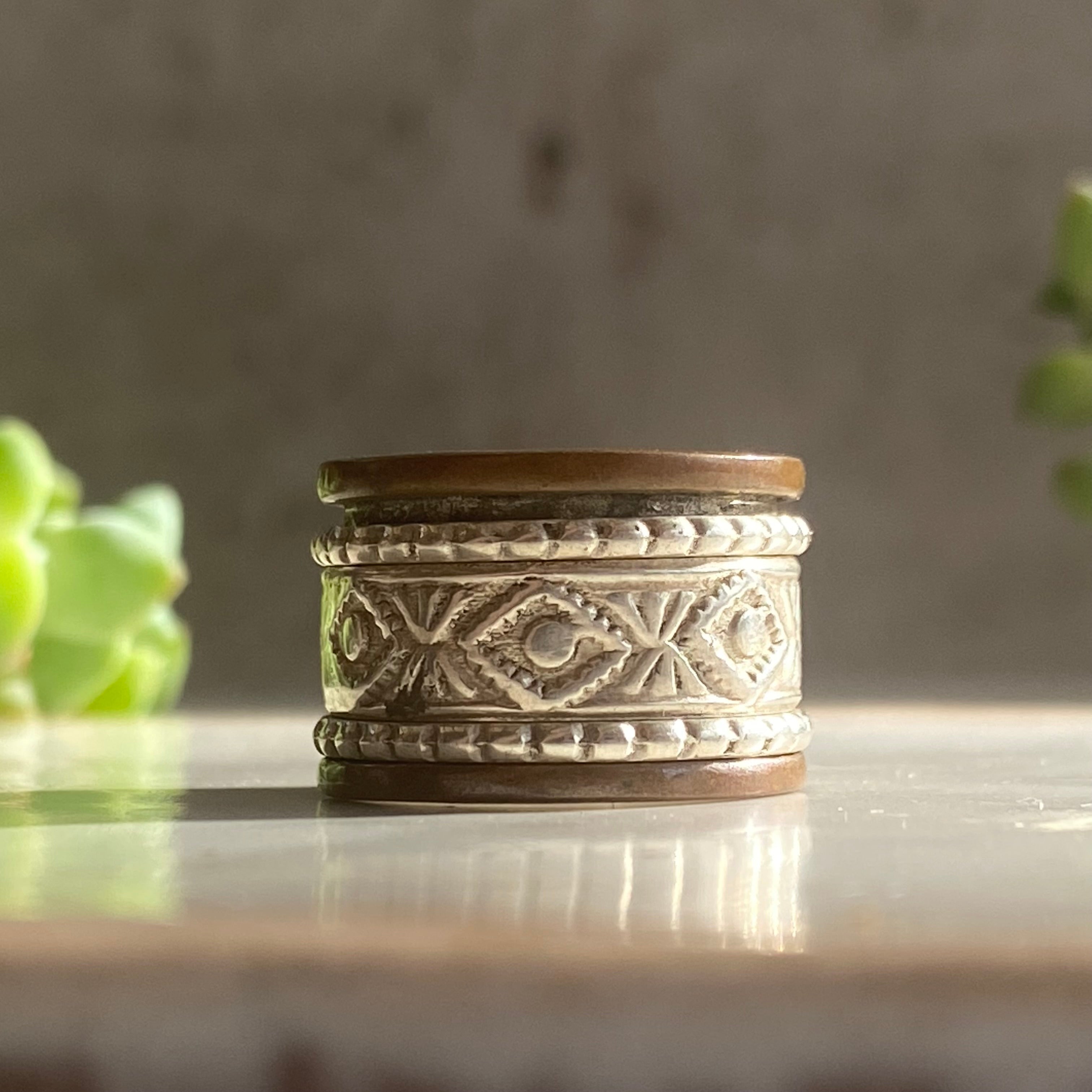 Silver Spinning Ring - L – ForageDesign