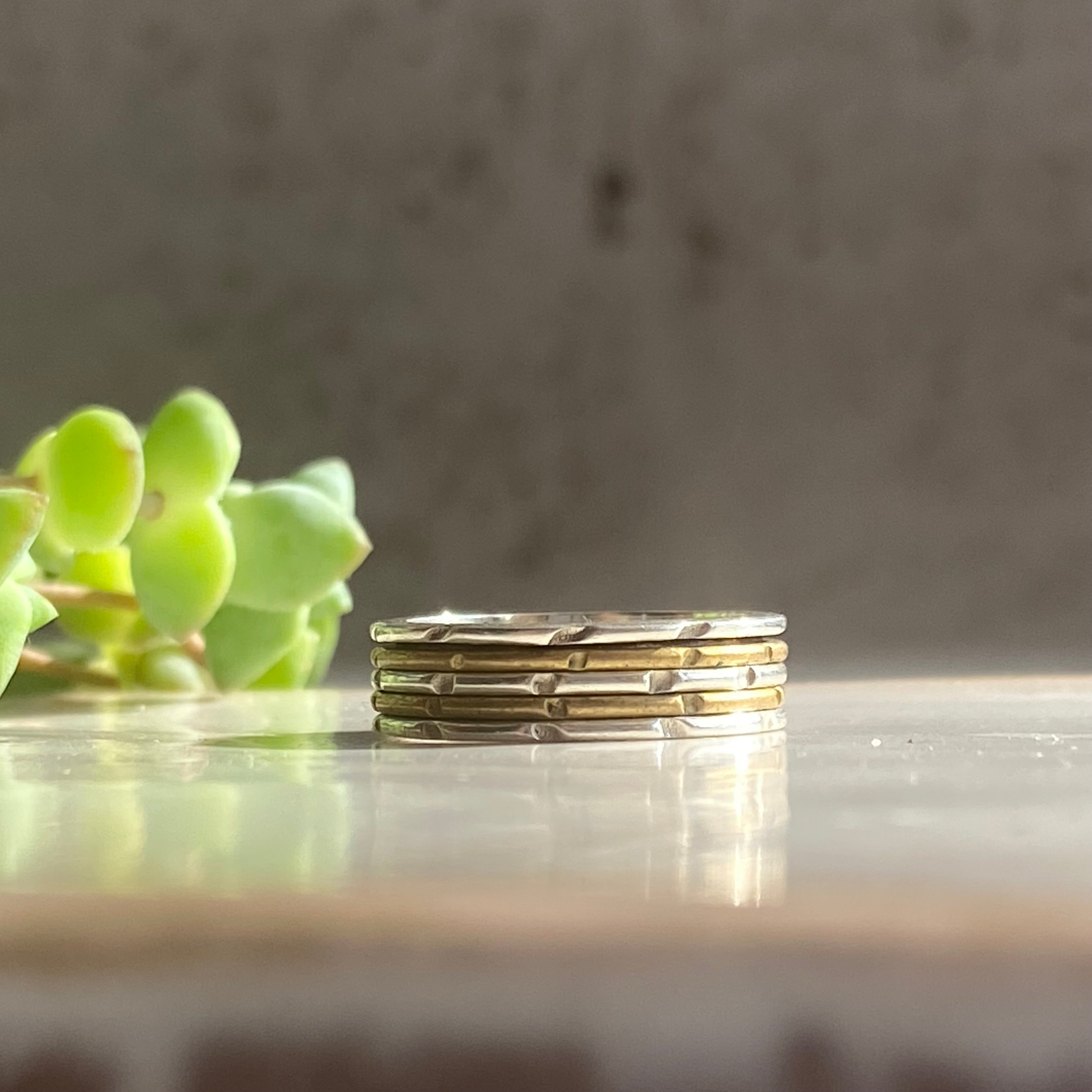 Silver Spinning Ring - M – ForageDesign