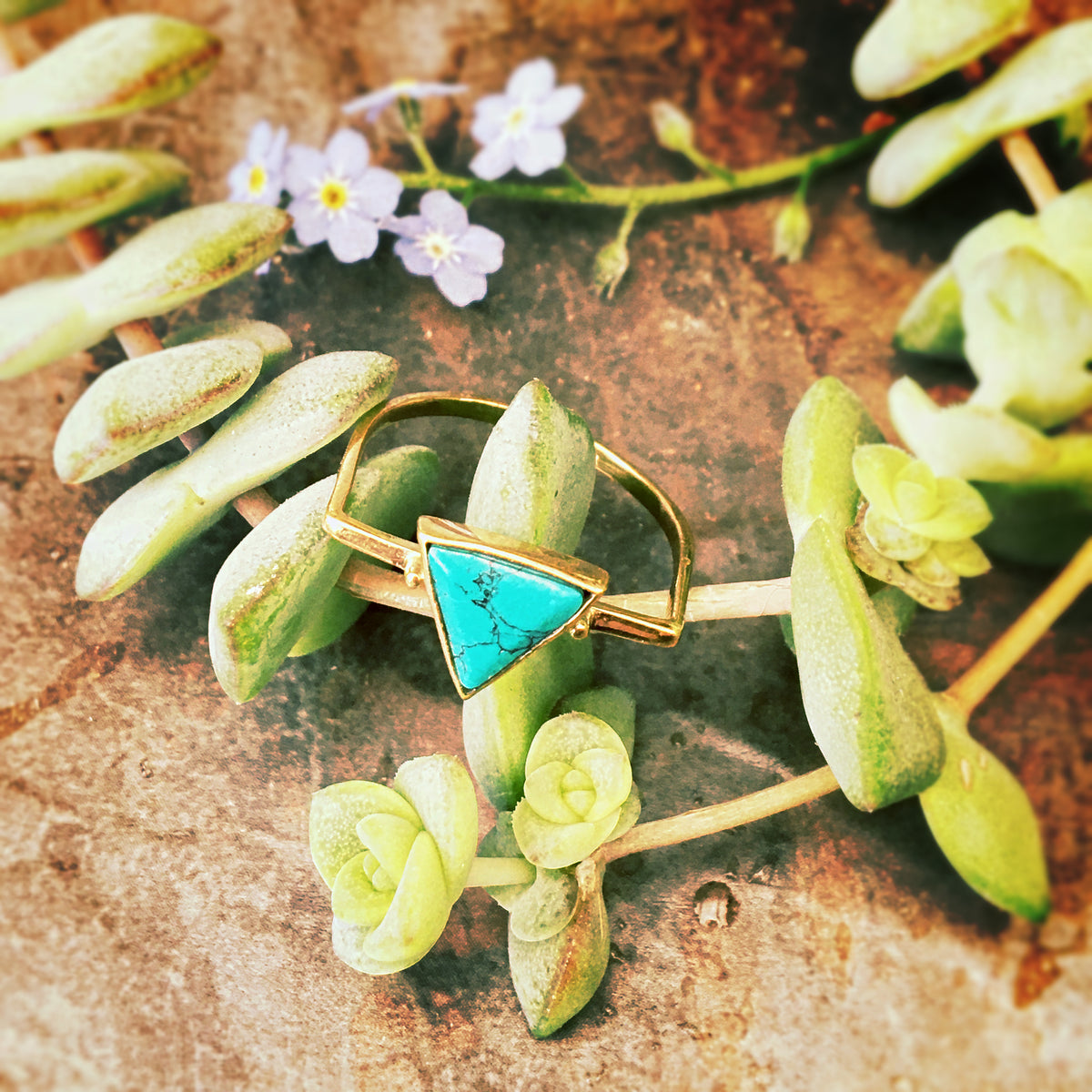 Forage Design – ForageDesign