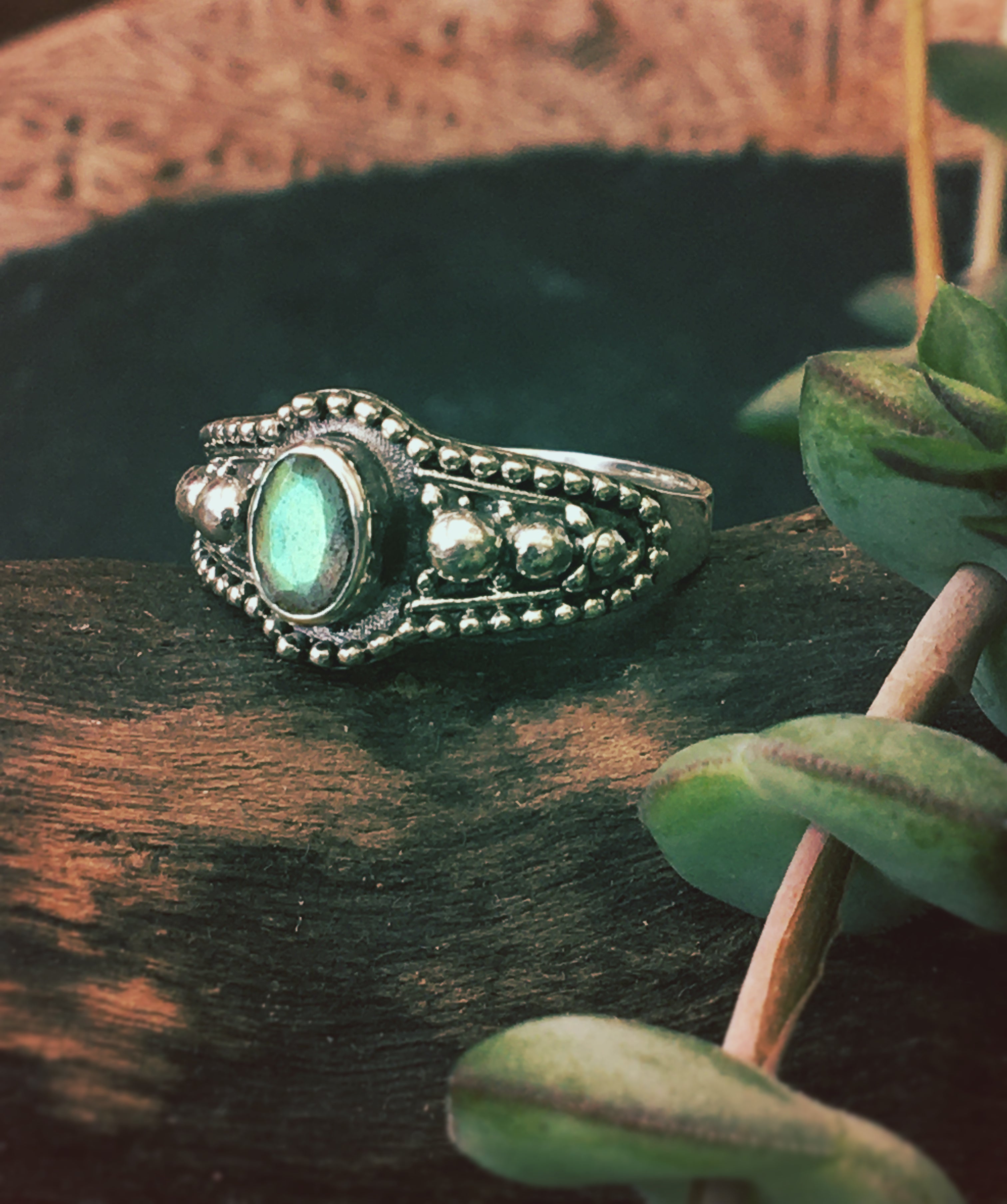 Silver Sewetta Ring – ForageDesign